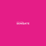 Sensate (Kapitana Shefnera Street No:2), dans okulları  Vladivostok'tan