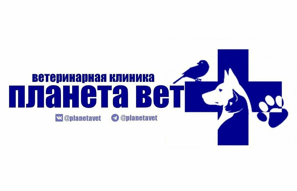 Veteriner klinikleri PlanetaVet, Moskova, foto