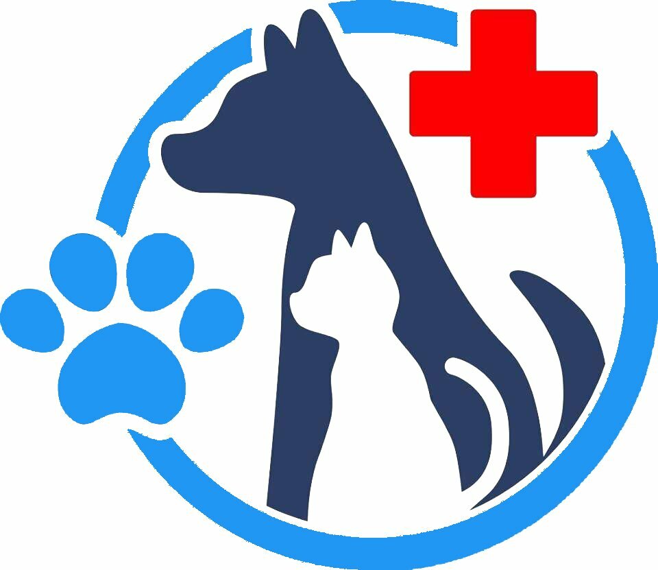 Hayvanlar için cenaze hizmetleri Vetprestij, Mytişçi, foto