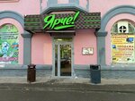Магазин разливного пива (Rimskogo-Korsakova Street No:14), bira dükkanı  Novosibirsk'ten