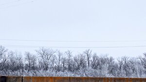Совхоз Безымянский (Saratov Region, Engelsskiy rayon, selo Bezymyannoye), giriş işareti  Saratovskaya oblastından