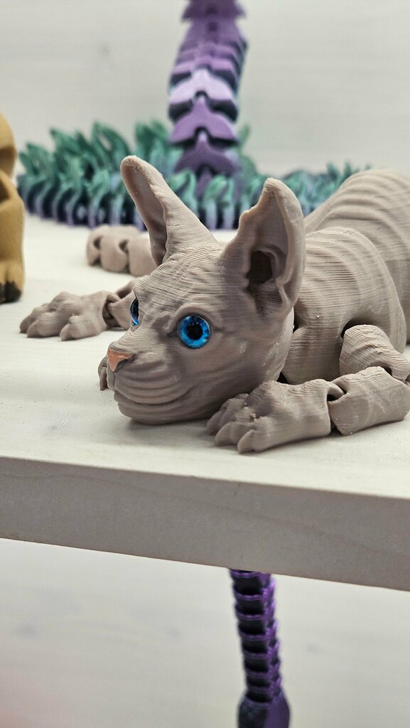 Çocuk oyunları ve oyuncakları Toydreams, Saint‑Petersburg, foto