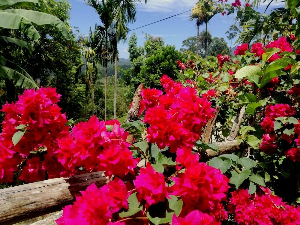 Otel The Kanro Ella, , foto