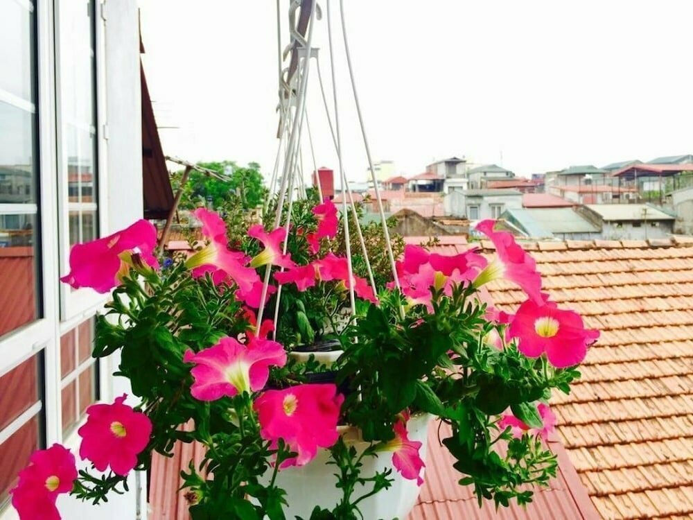 Otel An Family Homestay, Hanoi, foto