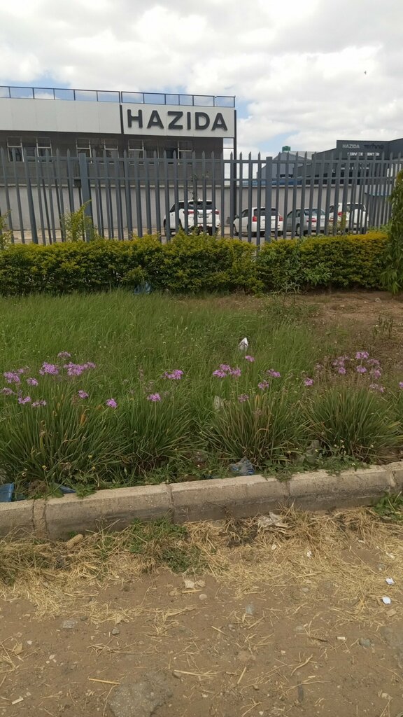 Enerji kurumları Hisense, Lusaka, foto