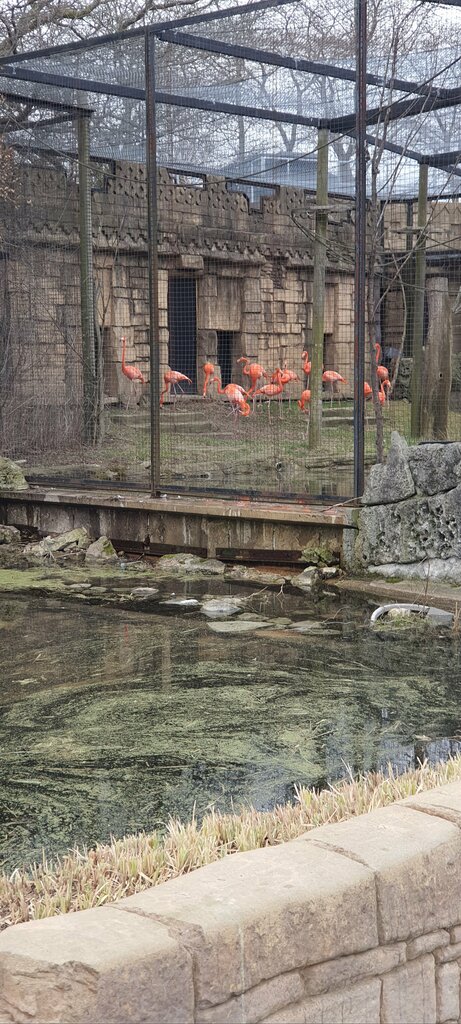 Hayvanat bahçeleri Toronto Zoo, Toronto, foto