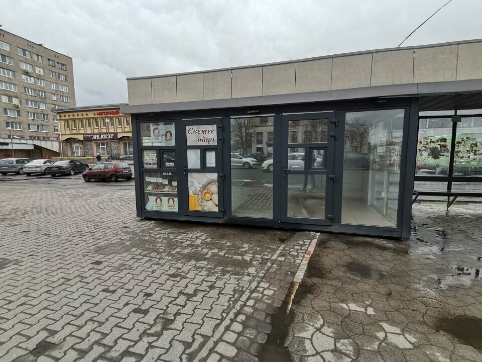 Kanatlı hayvan ürünleri ve yumurta Свежее яйцо, Moguilev, foto