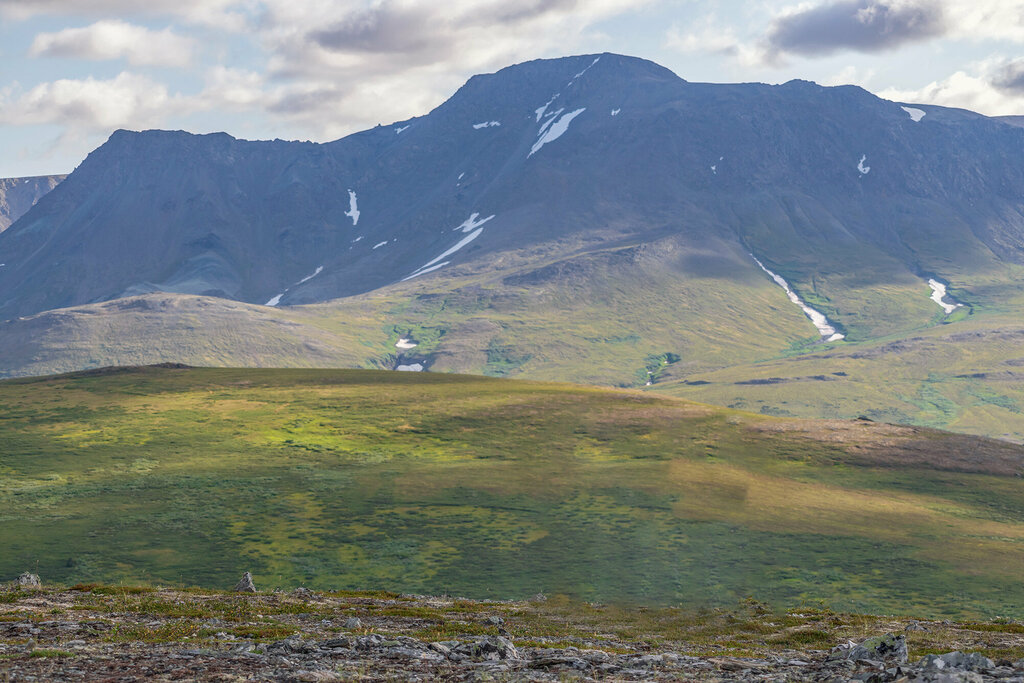 Dağ zirvesi Гора 375 метров, Yamal‑Nenets Özerk Bölgesi, foto