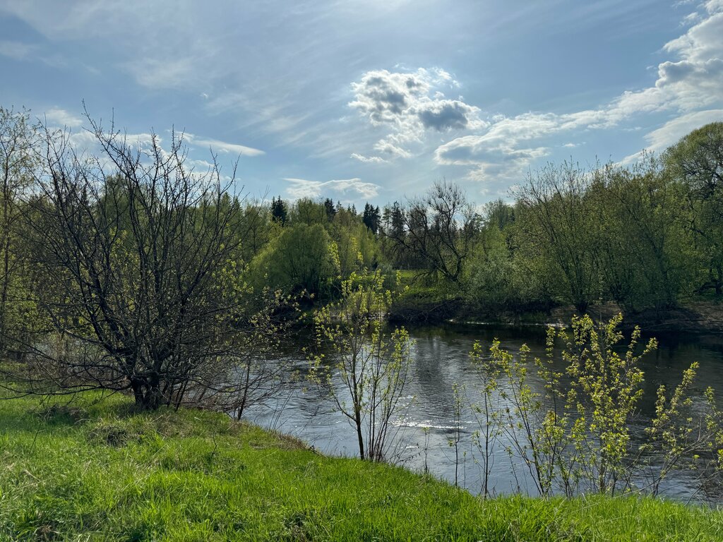 Piknik alanı Место для пикника, Moskova ve Moskovskaya oblastı, foto