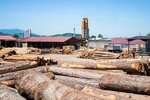 Jlb Woods Import and Export (Santa Cruz de la Sierra, Distrito Municipal 11, Subdistrito CIII, Ñuflo de Chávez, 92), devlet kurumları ve bakanlıklar  Santa‑Krus'tan