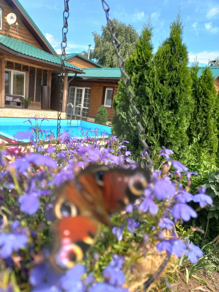 Hamamlar Банный комплекс Оазис, Saratovskaya oblastı, foto