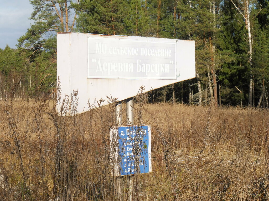 Giriş işareti МО Сельское поселение Деревня Барсуки, Kalujskaya oblastı, foto