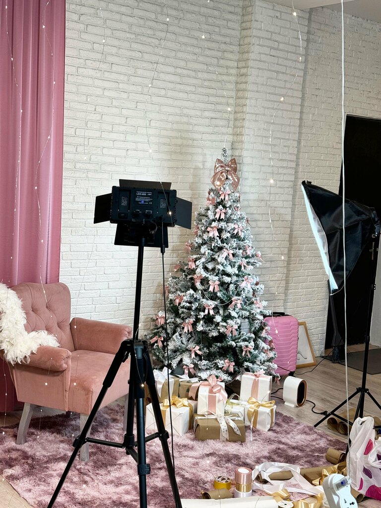 Profesyonel fotoğraf stüdyosu Фотостудия Момент, Elektrostal, foto