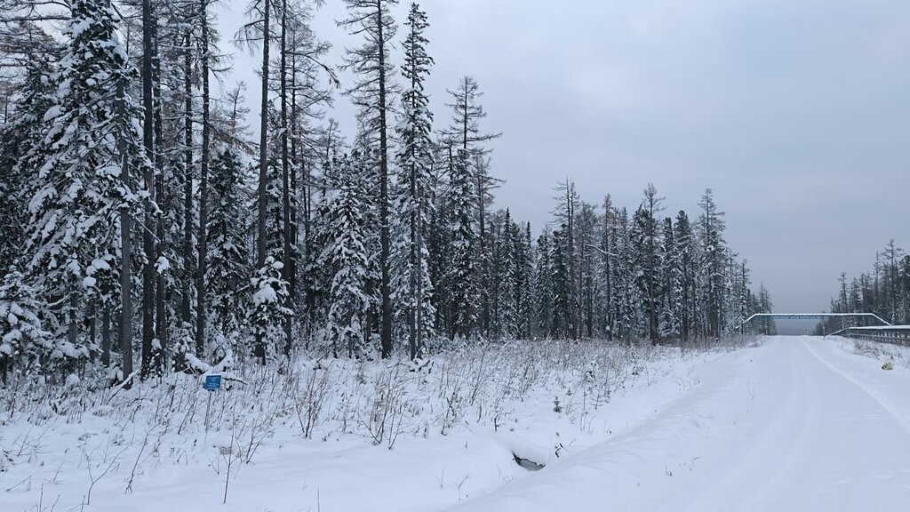 Petrol ve gaz firması НПС №11 Оргул, Saha Cumhuriyeti (Yakutistan), foto