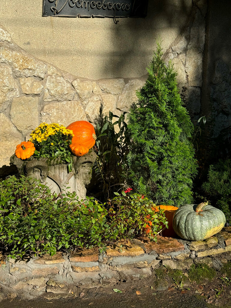 Kültür ve eğlence parkları парковая зона Достоевская, Vsevolgsk, foto