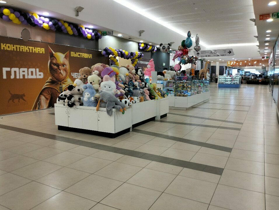 Çocuk oyunları ve oyuncakları Игрушки, Riazan, foto