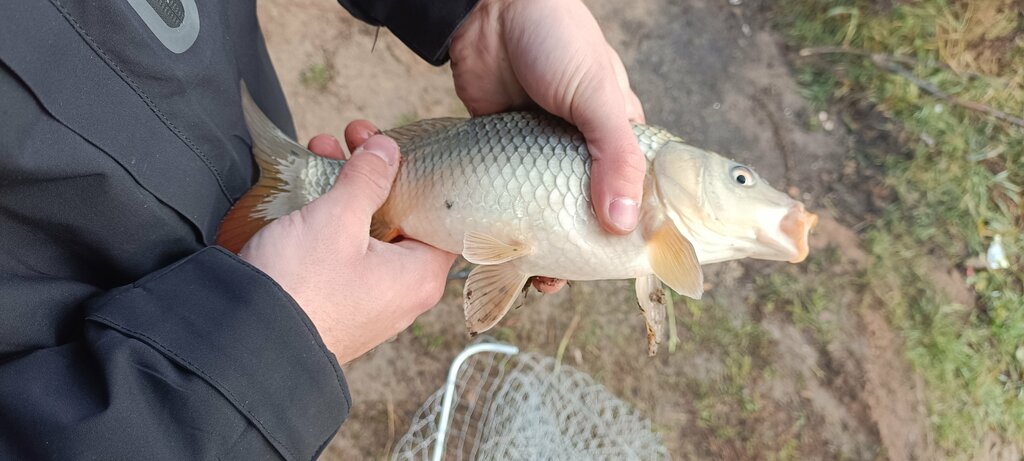 Avcılar ve balıkçılar Платная рыбалка, Nijegorodskaya oblastı, foto