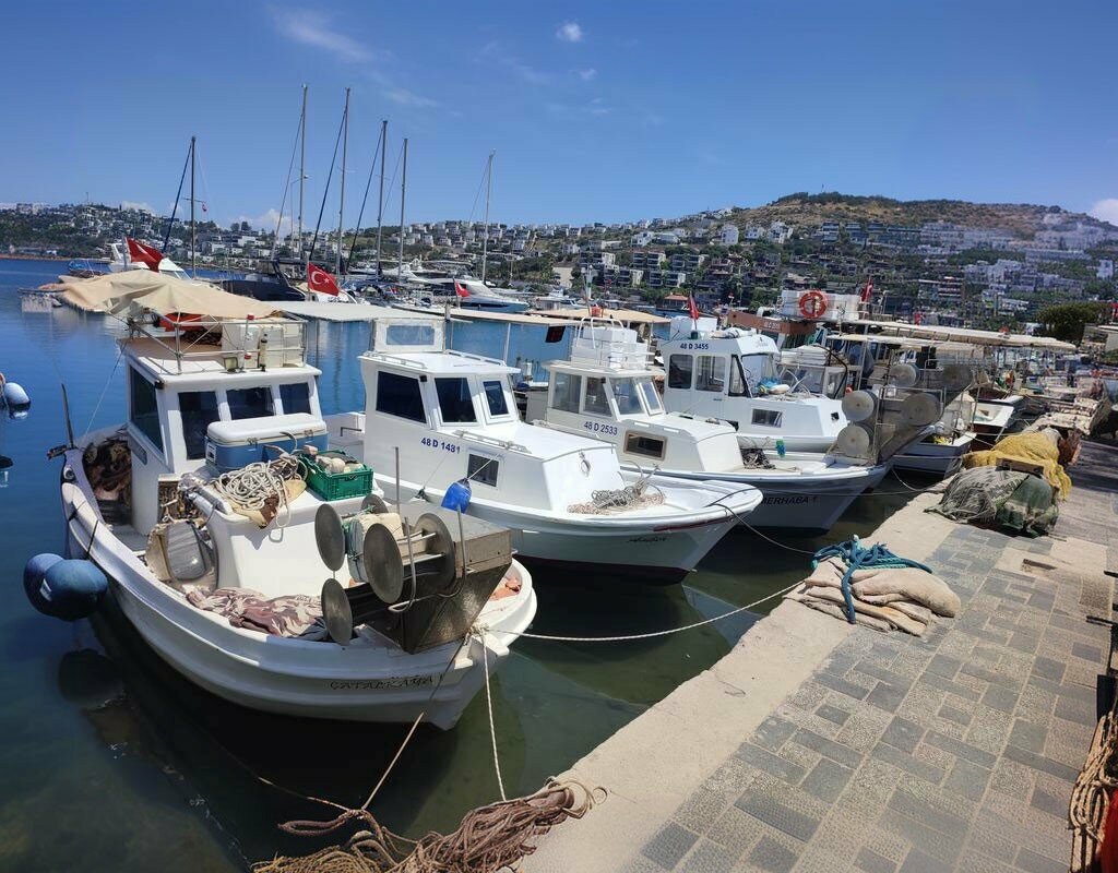 Kafe Farilya Cafe, Bodrum, foto