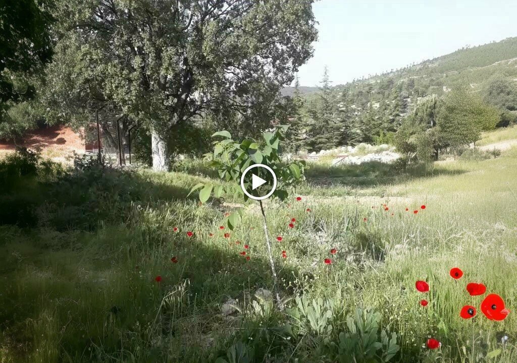 Cami Eminlik Mahallesi Cami, Tarsus, foto