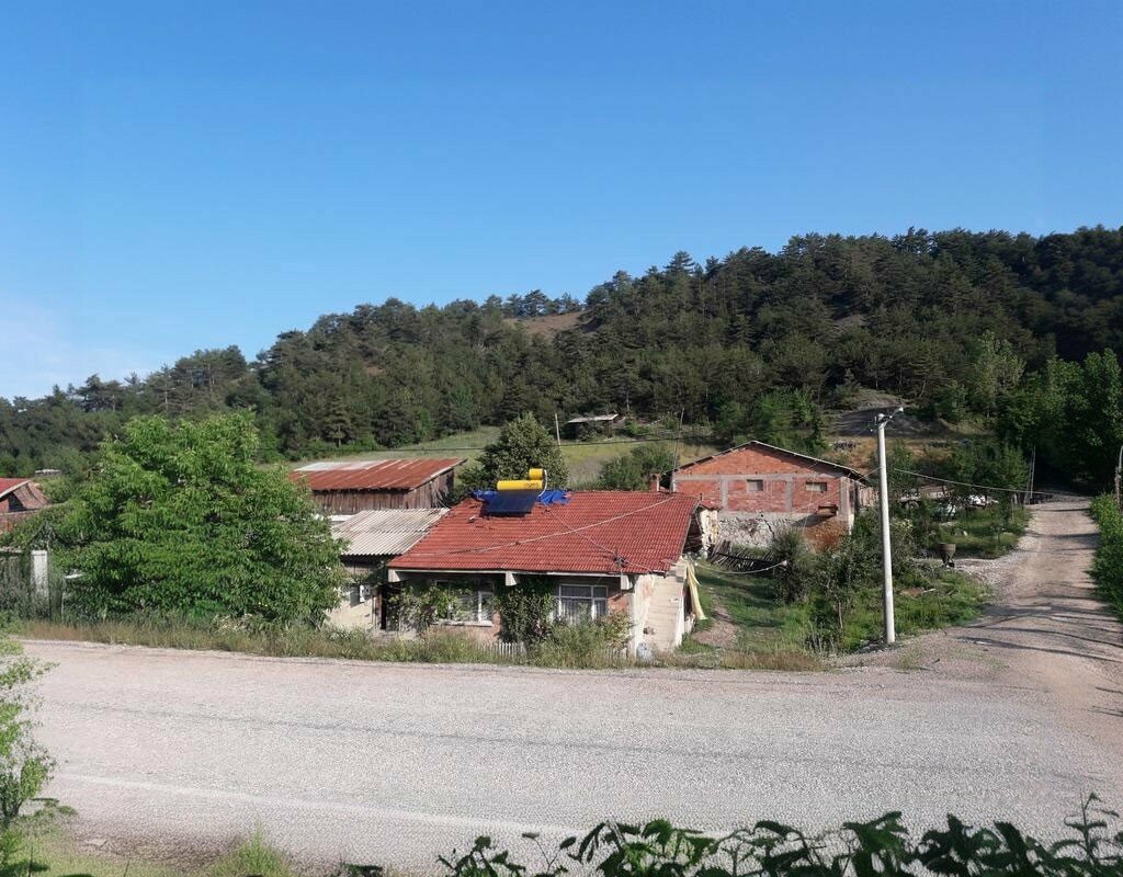 Muhtarlıklar Ketenciler Köy Muhtarlığı, Ereğli, foto