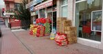 Temel Akvaryum Petshop (Yeni Ömerli Mah., İstiklal Cad., No:6/B, Tarsus, Mersin), petshop  Tarsus'tan