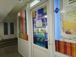 Тепло-пласт (9-ya Podlesnaya ulitsa No:55), cam balkon hizmetleri  Izhevsk'ten