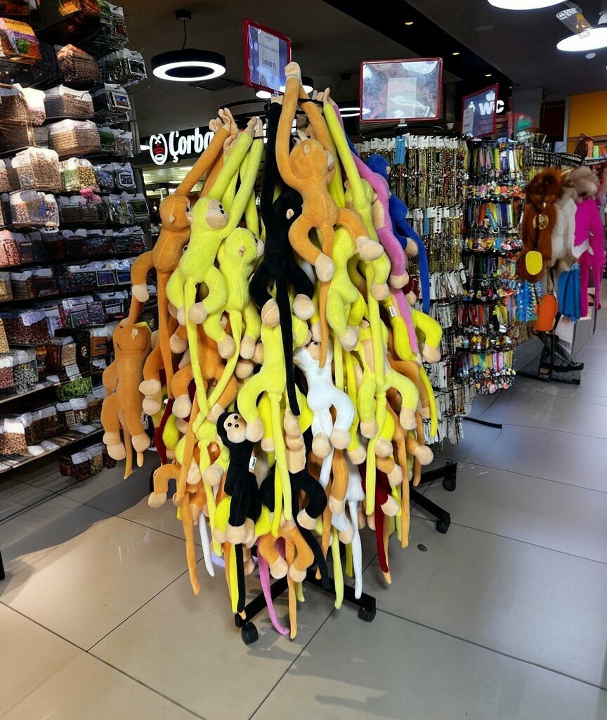 Market Yöresel Market, Bolu, foto