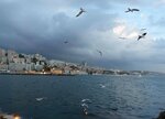 Spor alanı (İstanbul, Sarıyer, Uskumruköy Mah., Taşkışla Cad.), spor alanı  İstanbul'dan