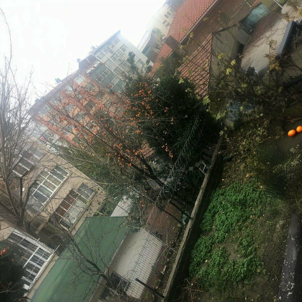 Giyim mağazası Taşçıoğlu Tuhafiye, Ankara, foto