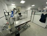 Cornervet Veteriner Kliniği (Sakarya, Erenler, Yeşiltepe Mah., 8042. Sok., 2), veteriner klinikleri  Erenler'den