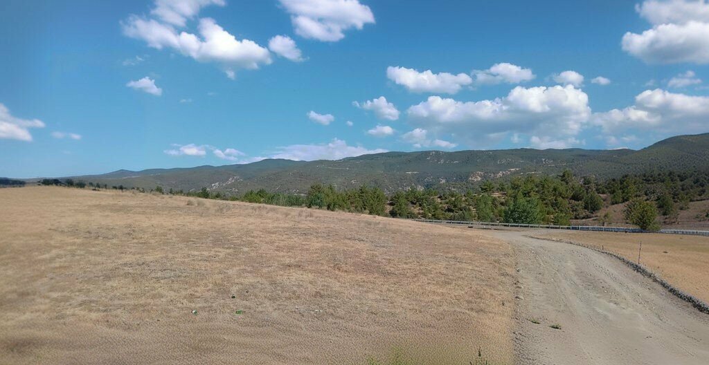 Muhtarlıklar Ortalıca Köy Muhtarlığı, Tosya, foto