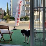 Sahil Veteriner Kliniği (Aydın, Kuşadası, Davutlar Mah., Orhan Gazi Cad.), veteriner klinikleri  Kuşadası'ndan