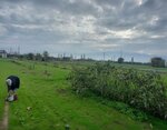 Yazıcılar Ticaret (İzmir, Ödemiş, Gereli Mah.), tarım firmaları  Ödemiş'ten