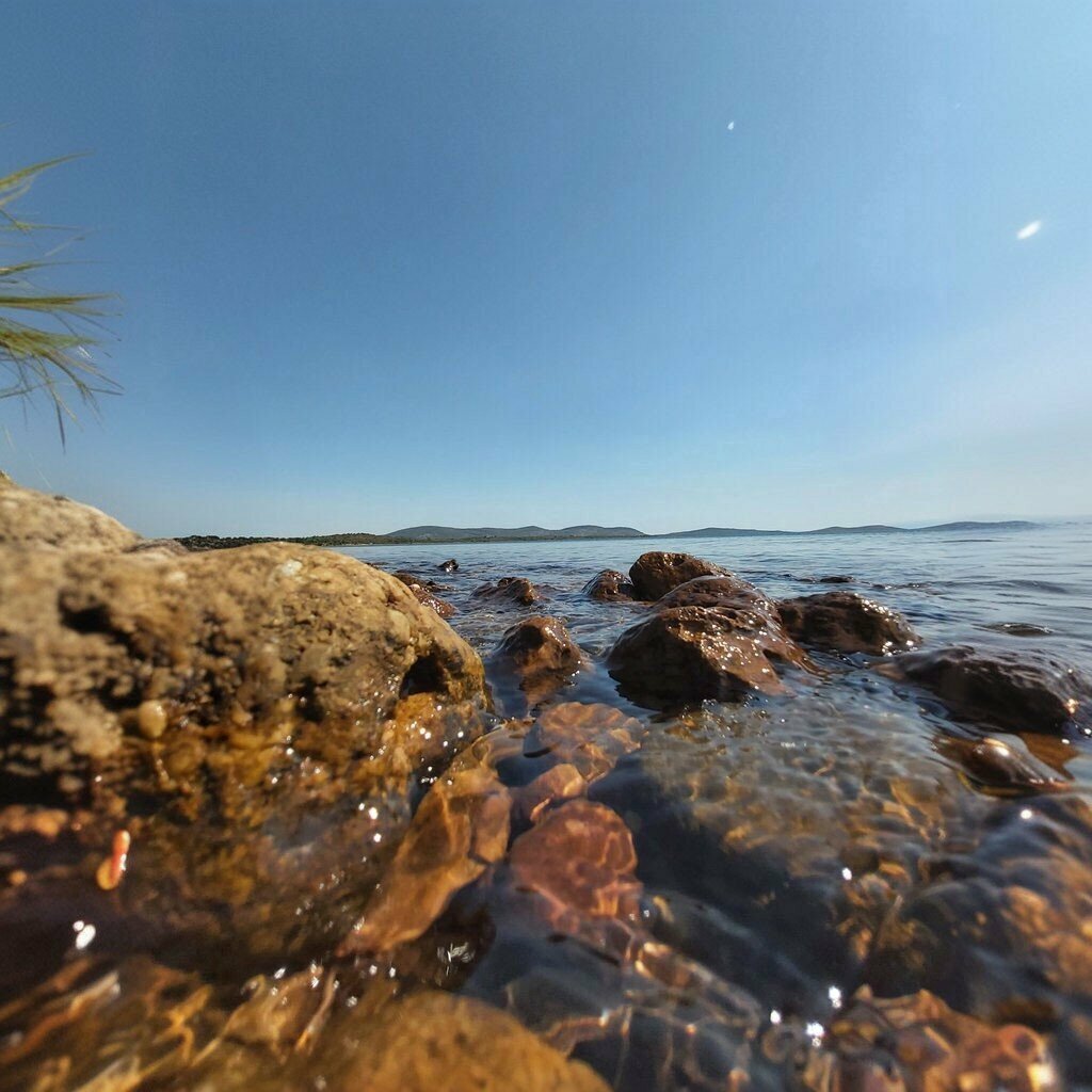 Kafe Balıkçı Barınagı, Ayvalık, foto