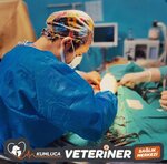 Kumluca Veteriner Kliniği (Merkez Mah., Gürkanlar Sok., No:3, Kumluca, Antalya), veteriner klinikleri  Kumluca'dan