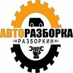 Разборкин (No:51, territoriya GK Motor ulitsa Komarova), çıkma yedek parça  Saransk'tan
