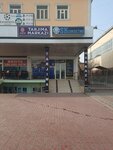 Lingua Translation (Zirabuloq koʻchasi No:5), tercüme büroları  Nemengan'dan