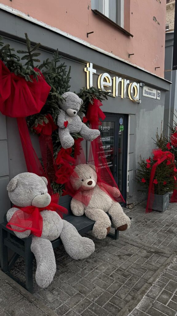 Çiçekçiler Terra, Izhevsk, foto