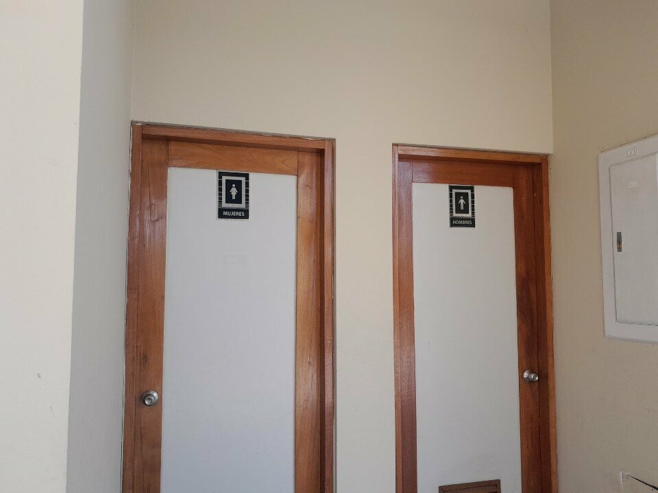 Seyyar tuvaletler Servicios higiénicos, Lima, foto