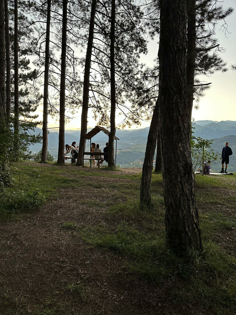 Piknik alanı Picnic place, Tavuş, foto