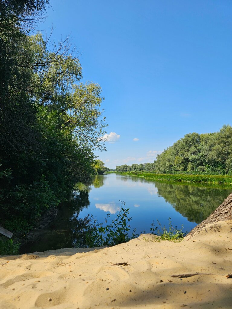 Tatil köyleri Vas'kiny Domiki, Voronejskaya oblastı, foto