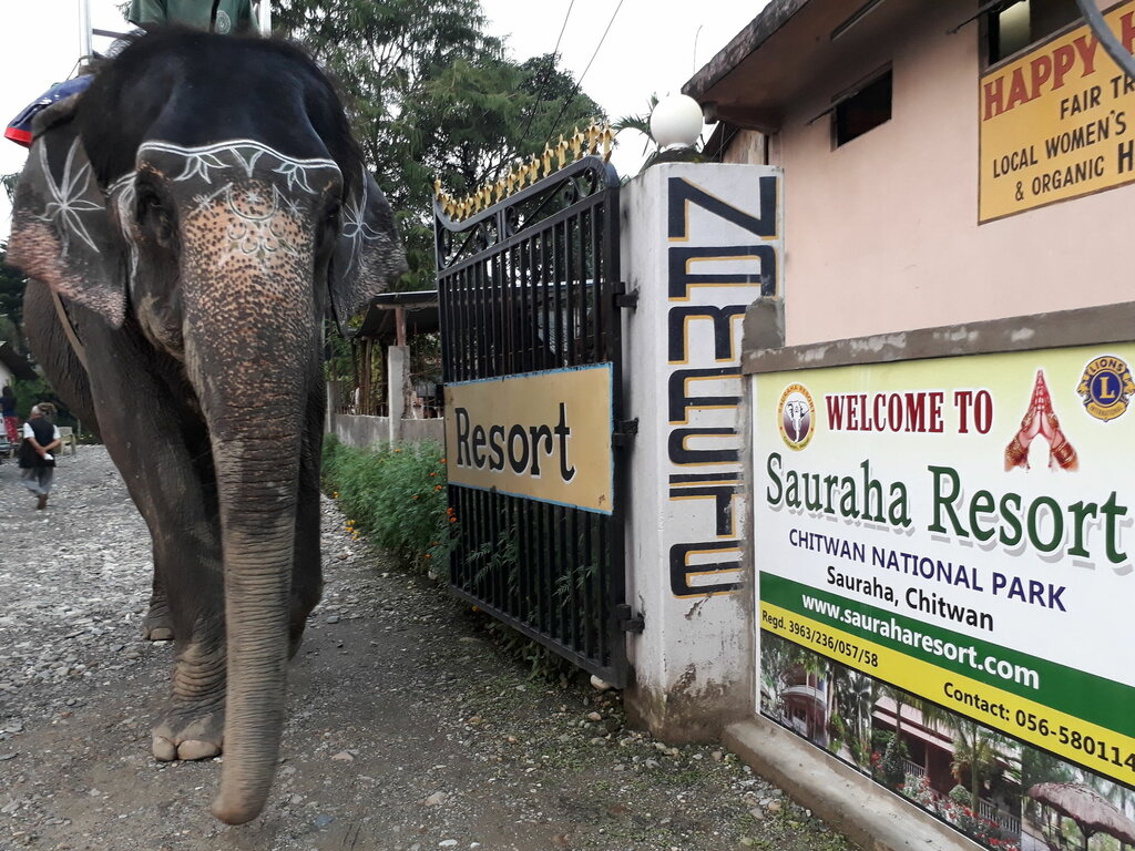 Otel Sauraha Resort, , foto