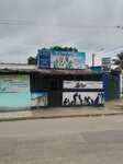 Zanimoo Pet Shop (Abidjan, Cocody, Rue L2), evcil hayvanlar için ürünler  Abican'dan