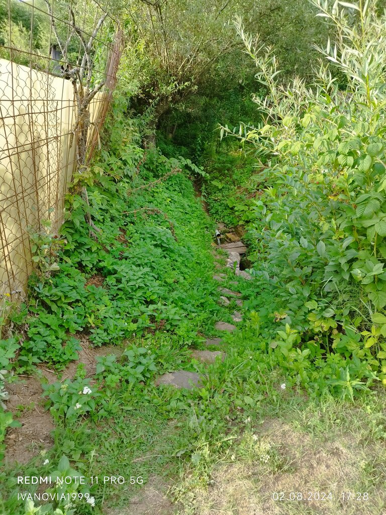 Pınar, çay Spring, stream, Cheboksary, foto
