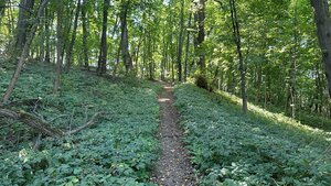 Экологическая тропа (Moscow Region, Serpukhov City District, Pushchino, Staropushchinskaya ulitsa), unutulmaz olayların yeri  Puşçino'dan