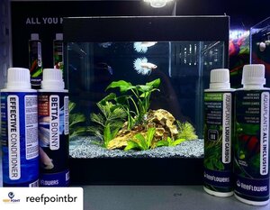 ReeFlowers - Rfl Akvaryum Sistemleri Ltd (İstanbul, Başakşehir, Bahçeşehir 2. Kısım Mah., Karadut Sok.), akvaryumlar  İstanbul'dan