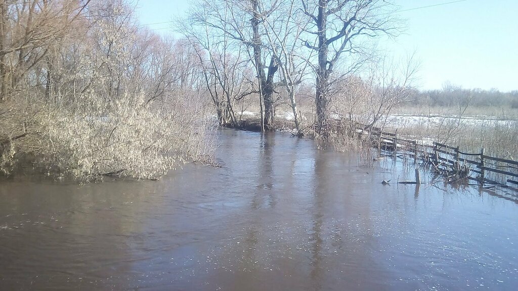 Seracılık Тепличный комплекс Лето-2002, Saratovskaya oblastı, foto