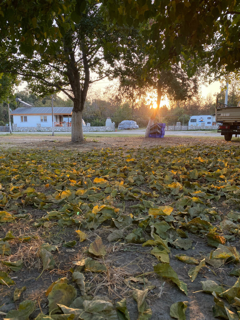 Kamp alanları Onur Kamping, Fethiye, foto