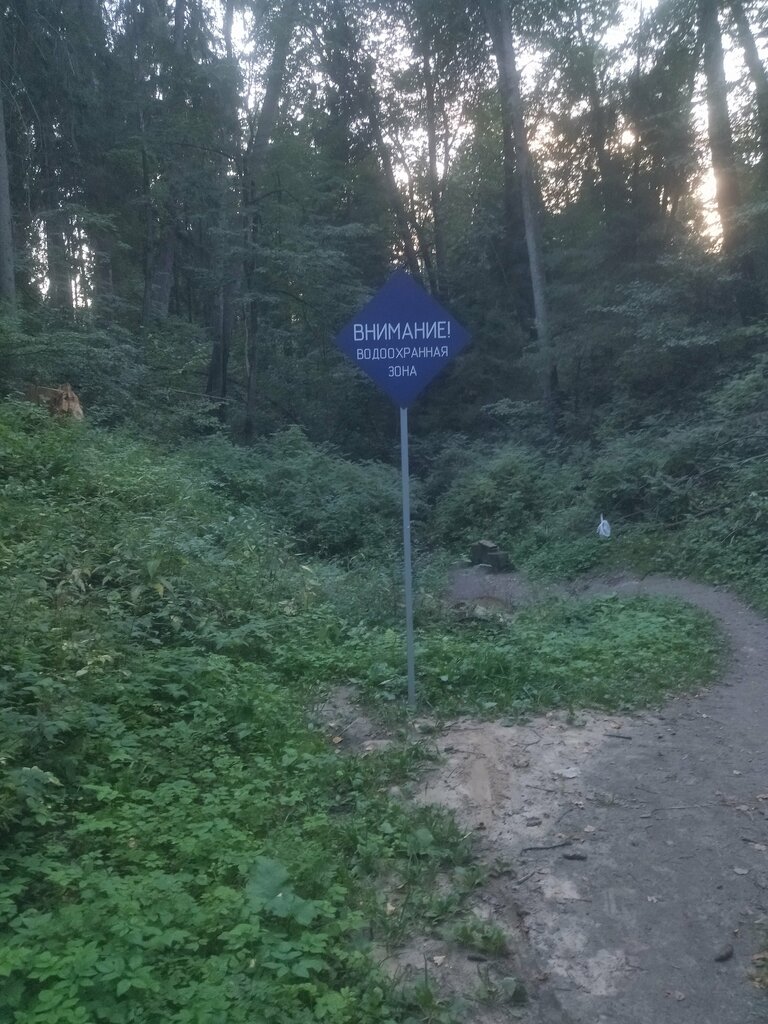 Pınar, çay Spring, stream, Moskova ve Moskovskaya oblastı, foto