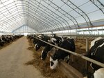 Kfm Projekt (Almaty oblysy, Talǵar aýdany, Arqabaı aýyly), danışmanlık hizmetleri  Almatı eyaletinden